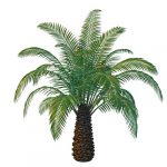 NYNAEVE DESIGN – Sims 4 Custom Content