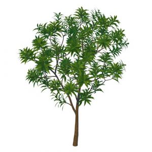 NYNAEVE DESIGN – Sims 4 Custom Content